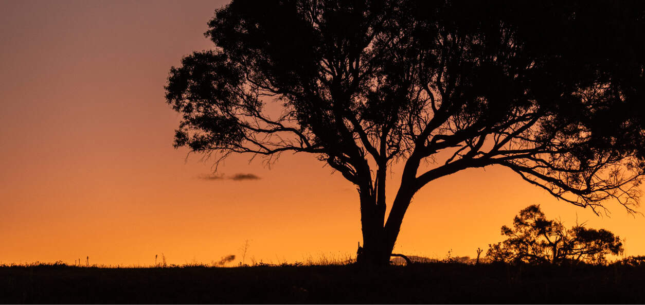 Locals First - 1853 Sutton